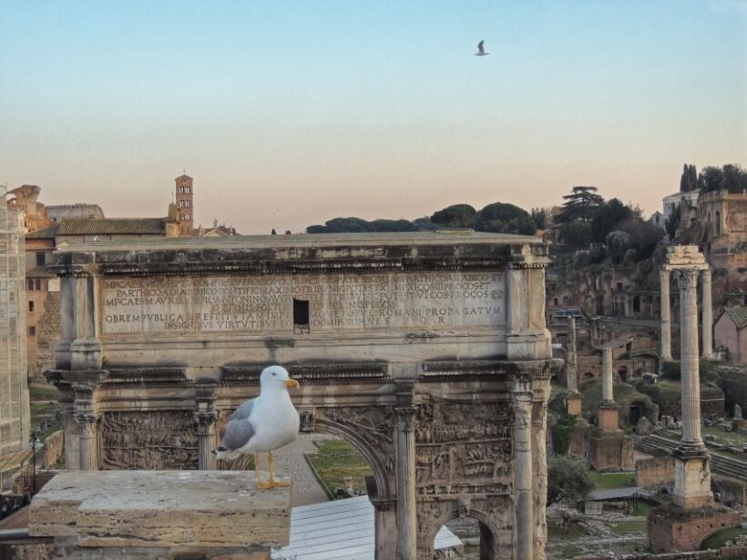 Rome: Colosseum with Arena Floor, Forum & Palatine Hill Tour - What’s Included and What to Consider