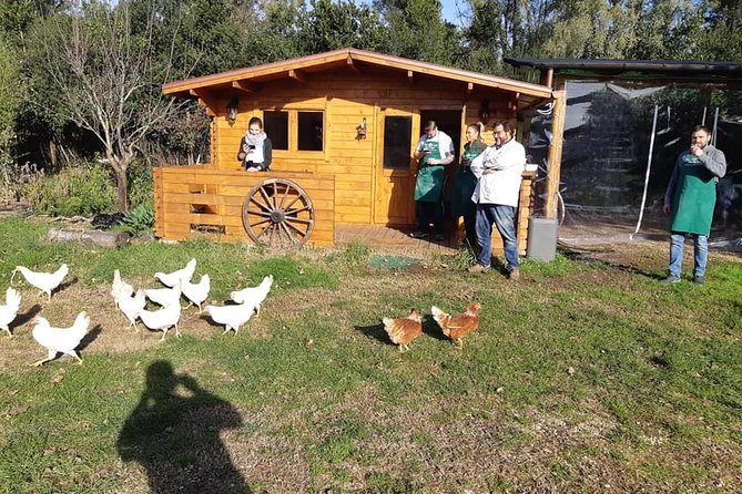 Rome Cooking Class: Make Pizza and Pasta with Wine & Dessert - Final Thoughts