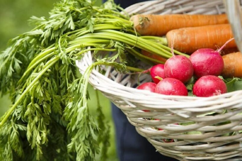 Rome: Cooking Lesson to learn the Secrets of Italian Cuisine - Key Points