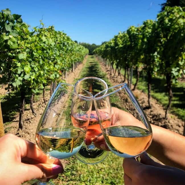 Rome Countryside: Wine Tasting Tour with Private Driver - Exploring the Rome Countryside: What You Can Expect