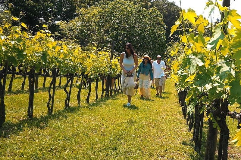 Rome Countryside: Wine Tasting Tour with Private Driver - Why This Tour Is Worth Your Time