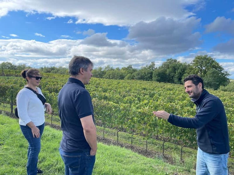 Rome Countryside: Wine Tasting Tour with Private Driver - FAQ