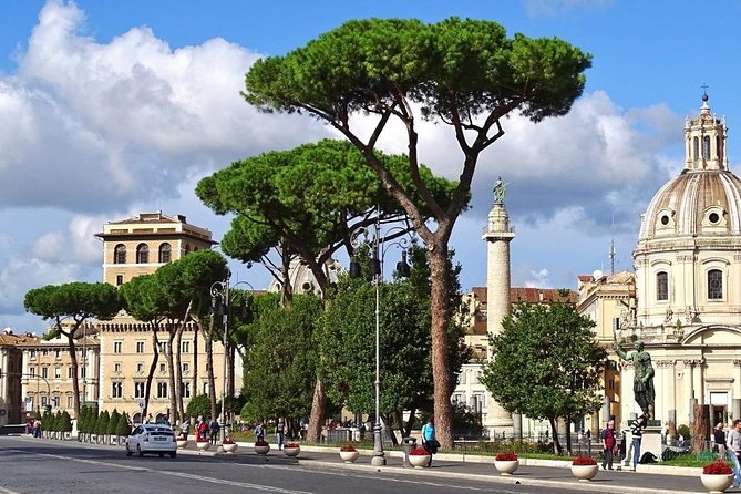 Rome FCO Airport to Civitavecchia Port with private City Tour - The Sum Up