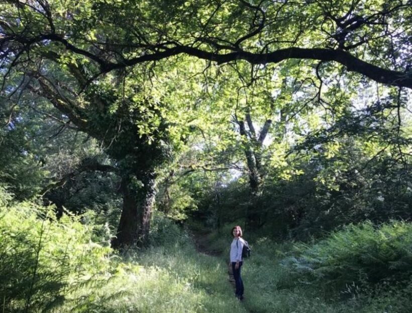 Rome: Forest Bathing Experience - An In-Depth Look at Romes Forest Bathing Experience