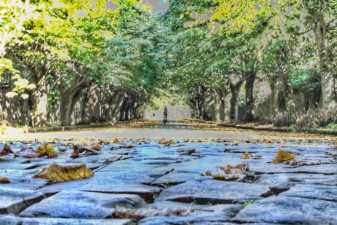 Rome: Frascati Vineyard Bike Tour with Train Tickets - The Itinerary in Detail