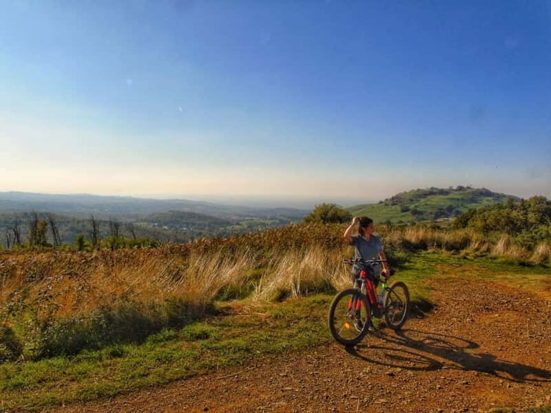 Rome: Frascati Vineyard Bike Tour with Wine Tasting - An In-Depth Look at the Frascati Vineyard Bike Tour