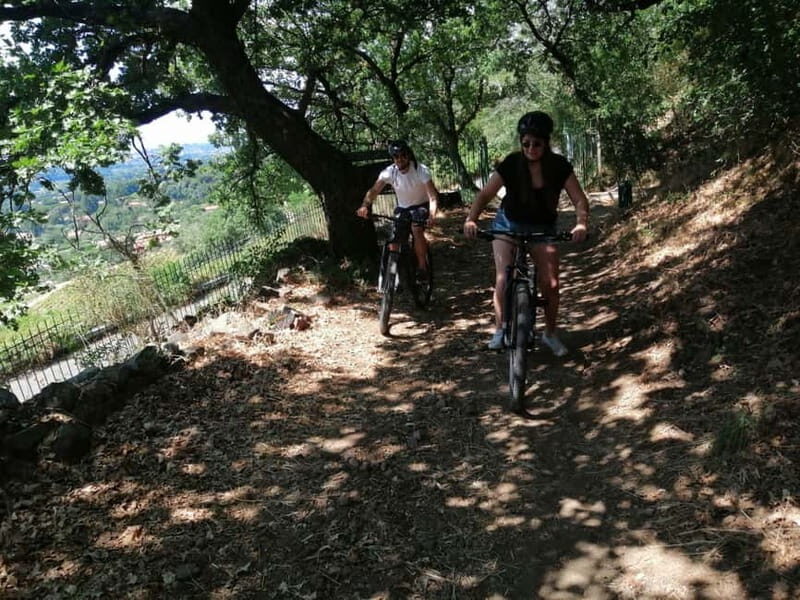 Rome: Frascati Vineyard Bike Tour with Wine Tasting - FAQs