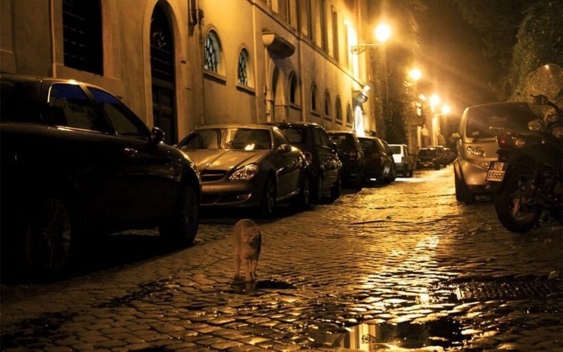Rome: Ghosts Inquisition in Dark Backstreets Walking Tour - Who Will Love This Tour?
