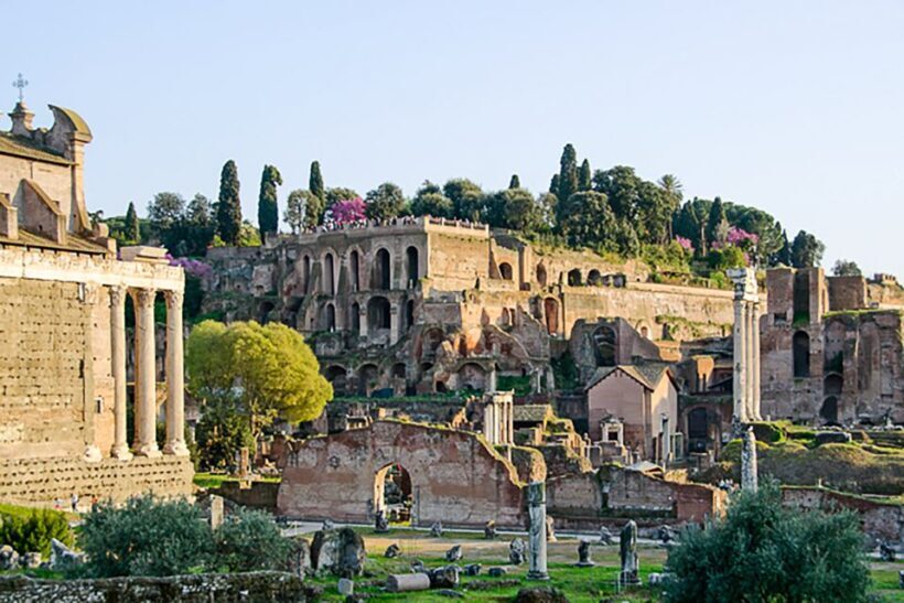 Rome: Guided Tour of Colosseum, Roman Forum & Palatine Hill - Who This Tour Is Best For