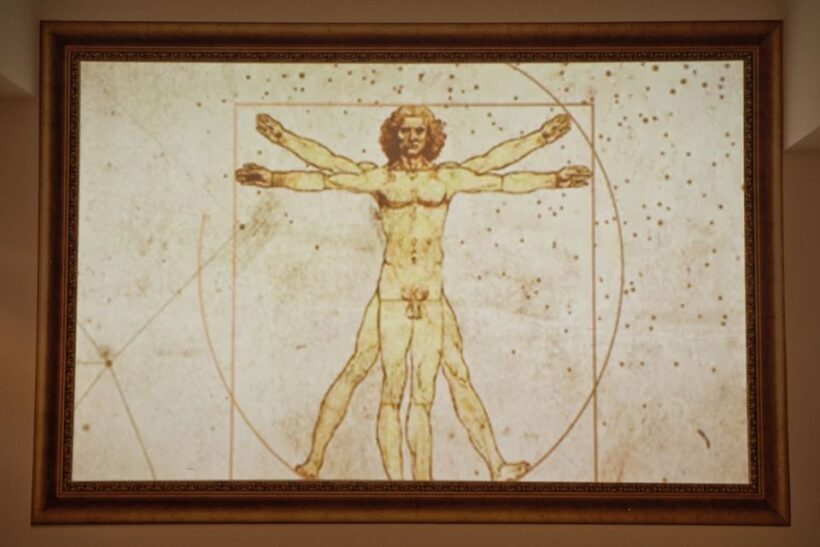 Rome: Leonardo Da Vinci Experience Entry Ticket - Accessibility and Location