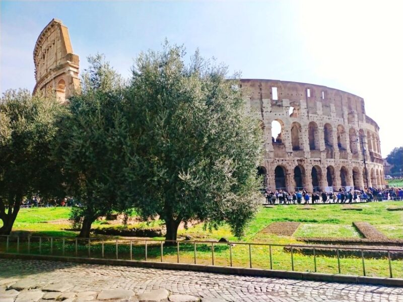Rome: Masterclass Extra Virgin Olive Oil & Table Olives - FAQs