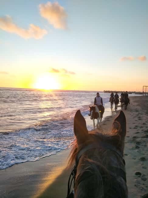 Rome on Horseback : Ancient Ostia & the beach with Aperitif - Key Points