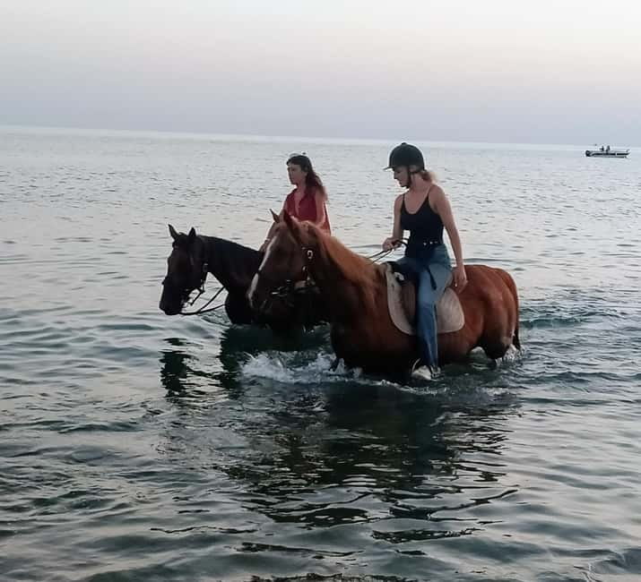 Rome on Horseback : Ancient Ostia & the beach with Aperitif - The Bottom Line