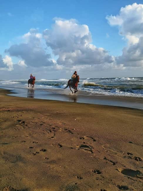 Rome on Horseback : Ancient Ostia & the beach with Aperitif - FAQs