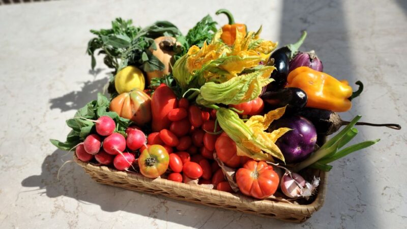 Rome: Prepare Pasta With the Chef on the Panoramic Terrace - Key Points