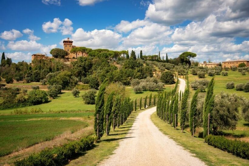 Rome: Private & Fully Customizable Day Trip to Tuscany. - Final Words: Who Will Love This Tour?