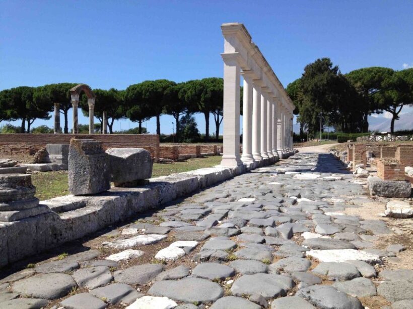 Rome: Private Tailored City Tour with Expert Driver - Final Thoughts