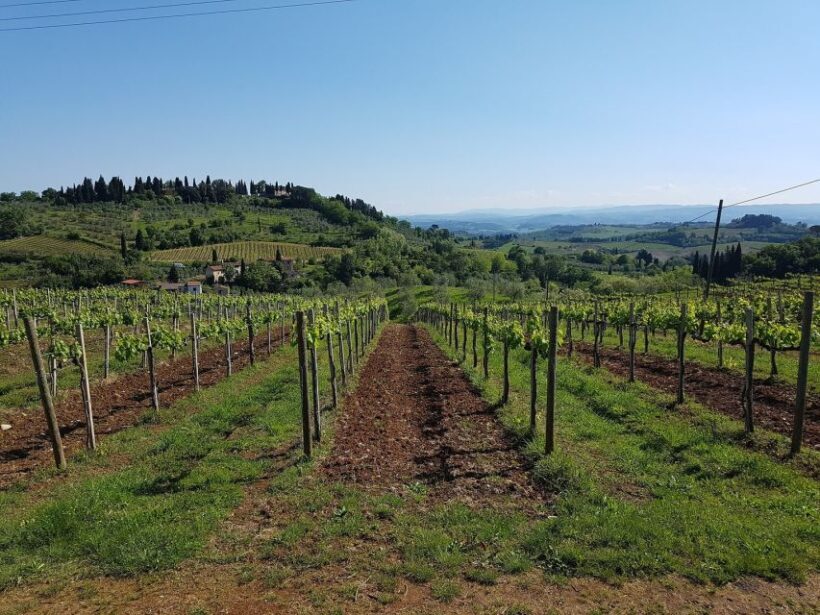 Rome: Private Tour to San Gimignano, Siena & Winery Visit - The Sum Up: Is It Worth It?