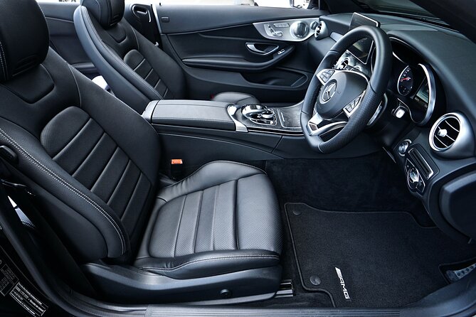 Rome Private Transfer to or From Fiumicino Airport - Whats Included in Your Transfer