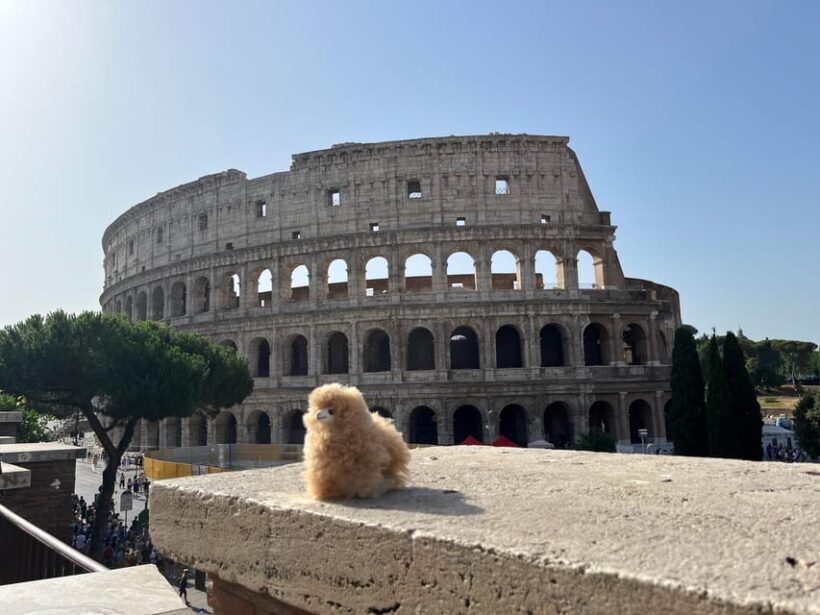 Rome: Private Walking City Tour with a Guide - Who Would Love This Tour?