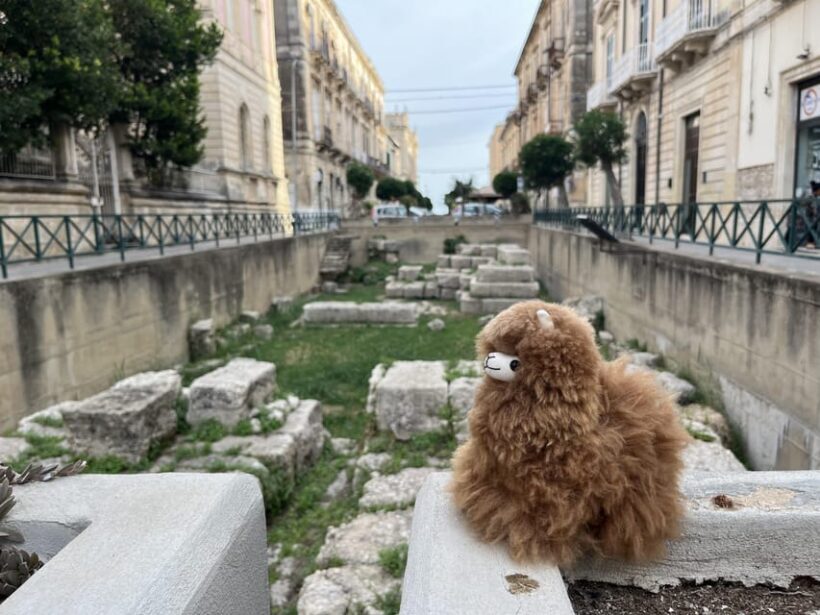 Rome: Private Walking City Tour with a Guide - Final Thoughts