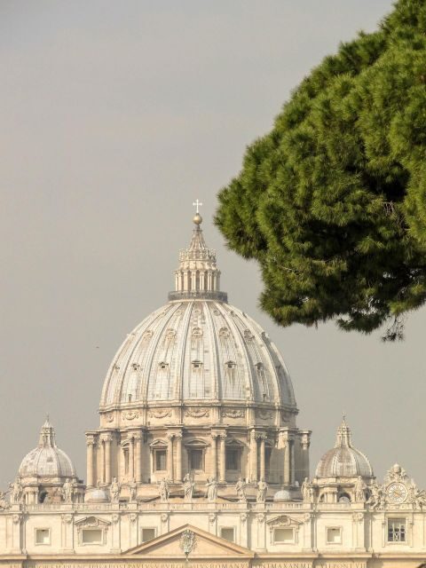 Rome: St. Peter's Basilica, papal tombs tour also with Dome - Key Points