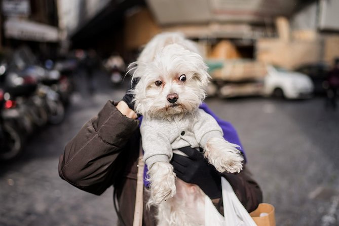 Rome Street Photography Lesson - FAQ