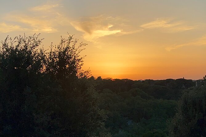 Rome Sun Set Tour - Who Should Consider This Tour?