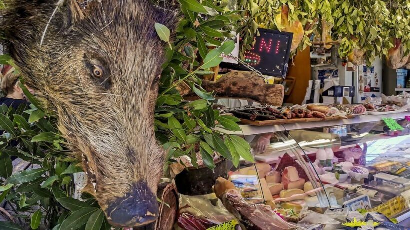 Rome: Testaccio Food Tour with Breakfast and Tastings - Exploring the Itinerary: A Deep Dive