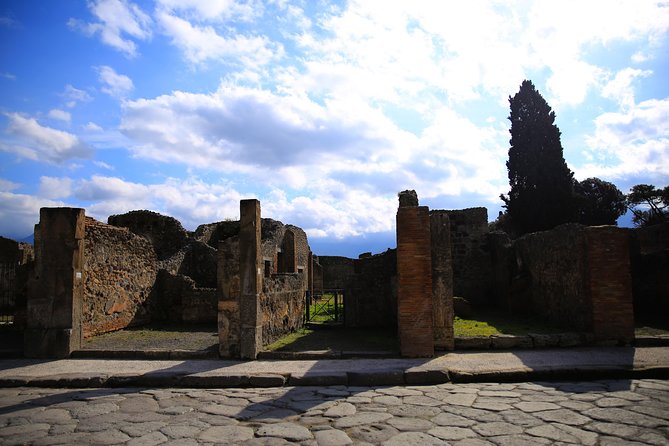 Rome to Pompeii & Herculaneum Trip with Hotel Pickup & Skip-the-line Tickets - Who Will Enjoy This Tour?