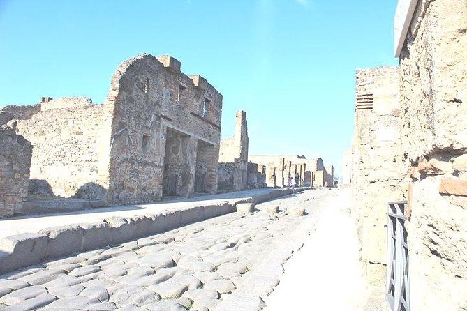Rome to Pompeii Private Guided Tour with Hotel Pick-up & Skip the Line Tickets - Final Thoughts