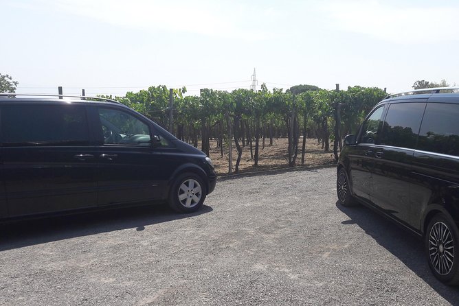 Rome to Sorrento Private Mercedes Transfer with Pickup - The Sum Up