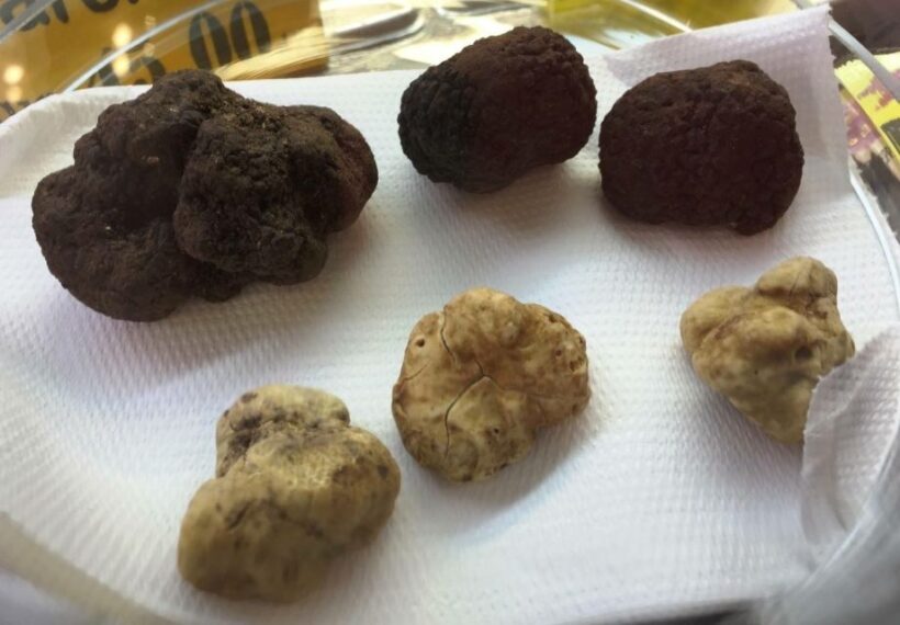Rome: Trastevere Guided Food and Wine Tour with 20+ Tastings - A Deep Dive into the Food and Wine Tour Experience
