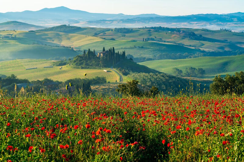 Rome: Tuscany & Montepulciano Day Trip With Lunch & Wines - Exploring Pienza and Return to Rome