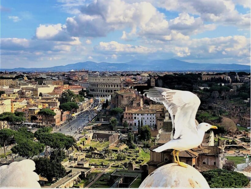 Rome: Vatican, Colosseum & Main Squares Tour w/ Lunch & Car - A Practical Way to Experience Rome’s Finest Sights