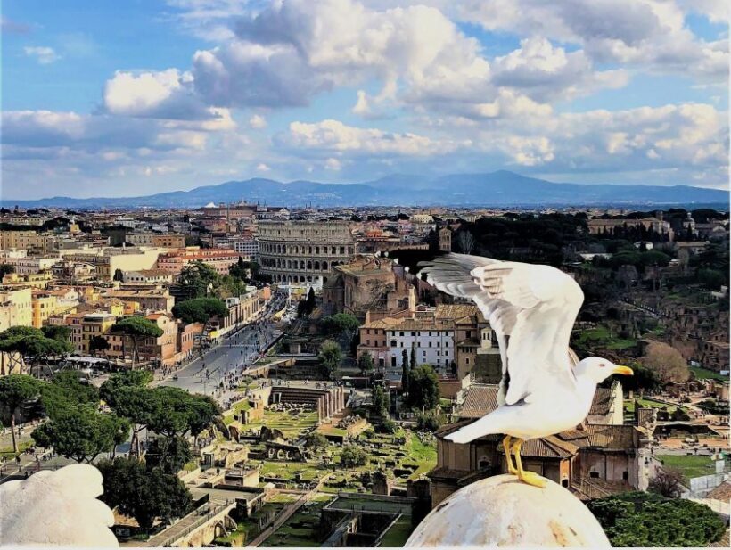 Rome: Vatican, Colosseum & Main Squares Tour w/ Lunch & Car - Who Will Love This Experience