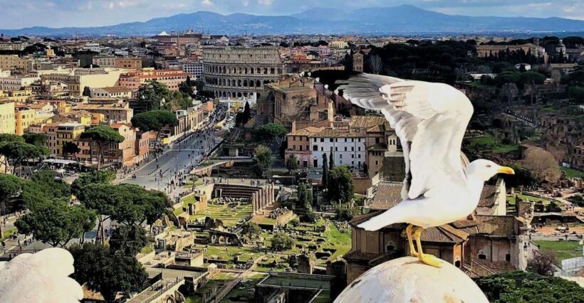 Rome: Vatican, Colosseum & Main Squares Tour w/ Lunch & Car - Final Thoughts