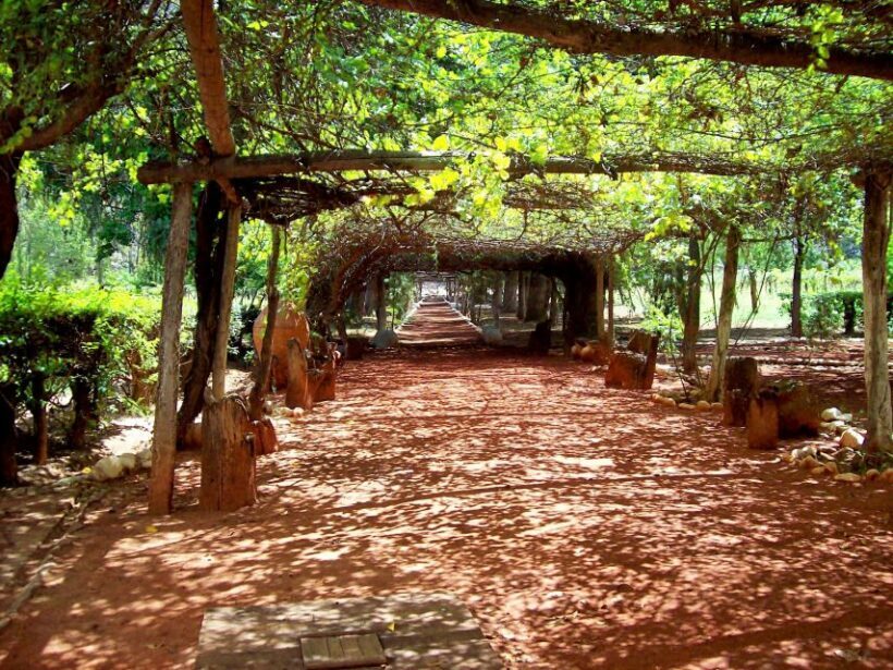 Rome: Wine Tasting and Pizza Making Class at a Vineyard - Who Would Enjoy This Tour?