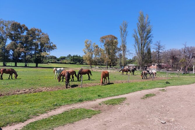 Romes Ultimate Bike Tour - Cycling Through the Countryside