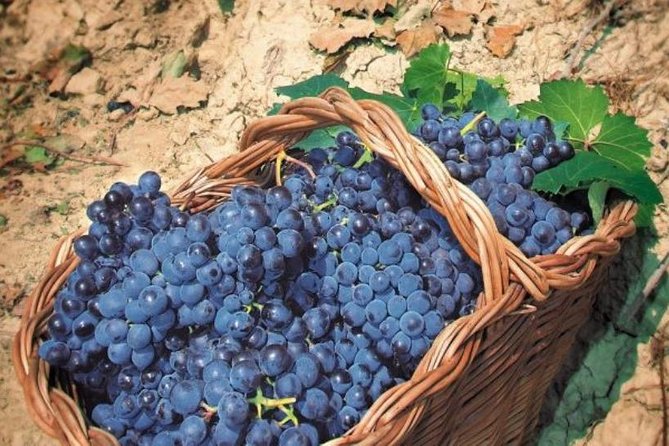 Romes Vineyard Symphony: Countryside Winetasting Experience - Evaluating Value and Overall Impressions