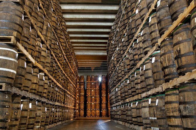 Ron Barcelo Anejo Experience Factory Tour - A Closer Look at the Tour Itinerary