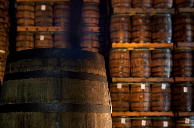 Ron Barcelo Imperial Experience tasting at aging cellar - The Sum Up: Who Is This Tour Best For?