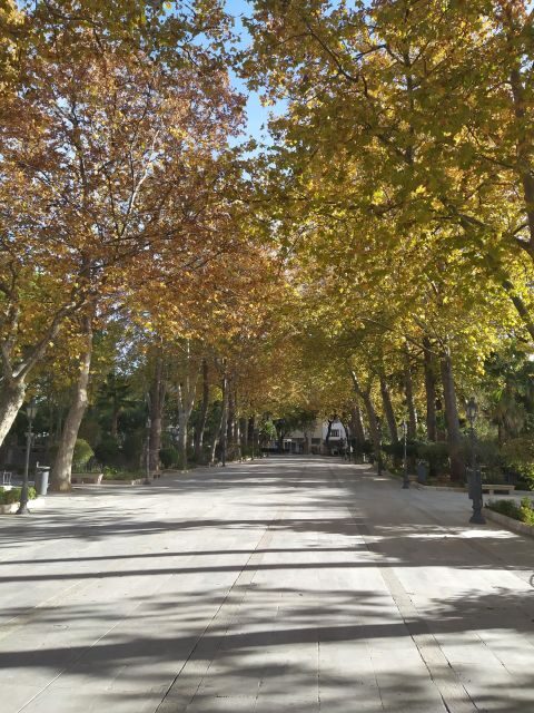Ronda: 2-Hour Private Walking Tour - Why Consider a Private Tour in Ronda?