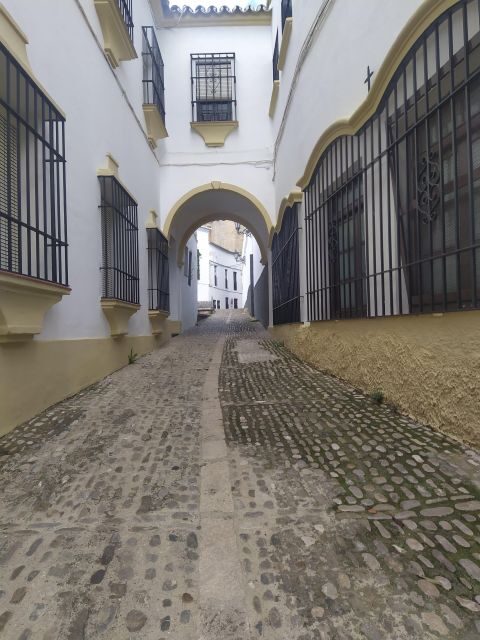 Ronda: 2-Hour Private Walking Tour - Who Will Love This Tour?