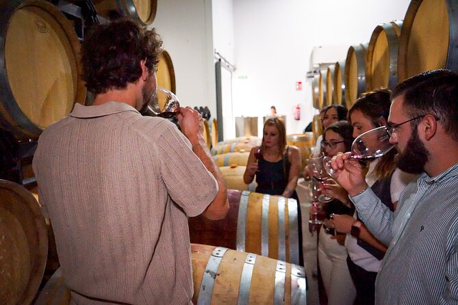Ronda from Malaga: Top Quality Wine Tour & city exploring - Who Will Love This Tour?