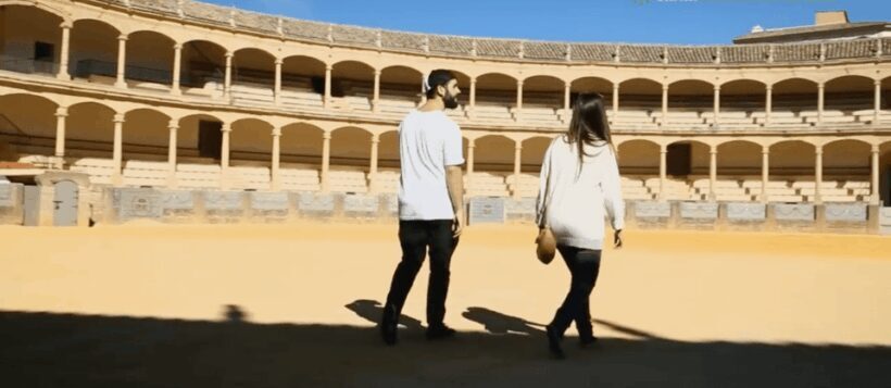 Ronda from Seville: Full Day Private Tour - Who Would Benefit Most?
