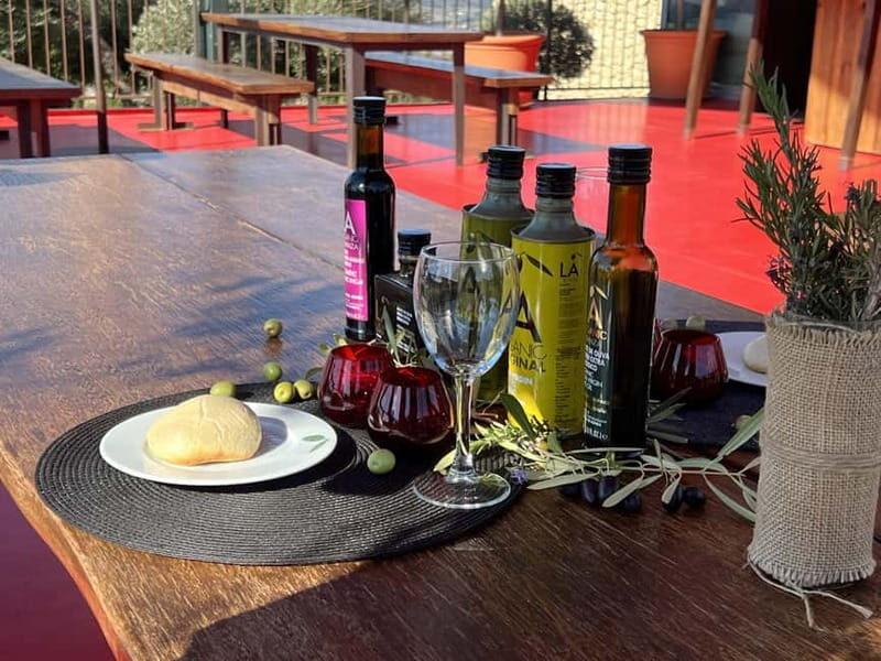 Ronda: LA Almazara LA Organic, Olive Oil Museum and Tasting - What You Can Expect