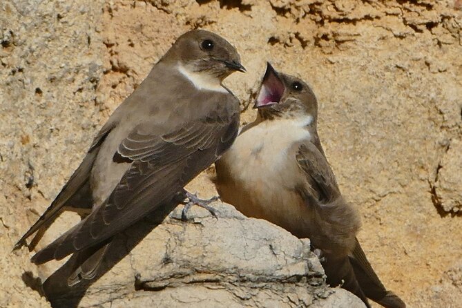 Ronda Nature and Scenic Private Hiking Tour - Final Thoughts