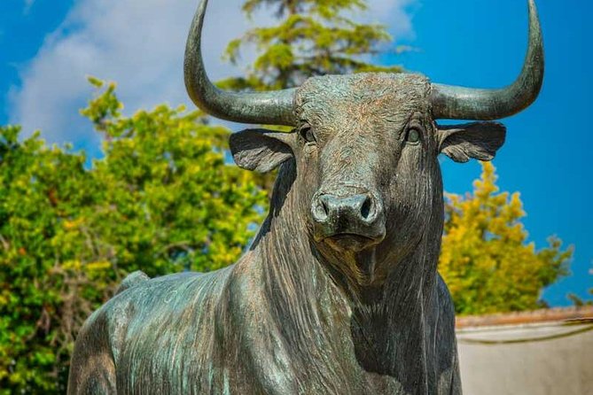 Ronda Private Day Trip From Malaga - Convenient Transportation and Pickup Services