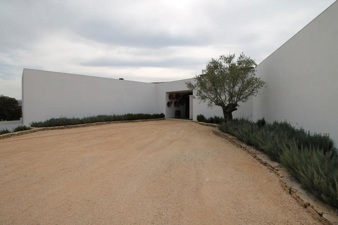 Ronda Private Full Day Wine Tour - Authentic Experiences and Hidden Gems